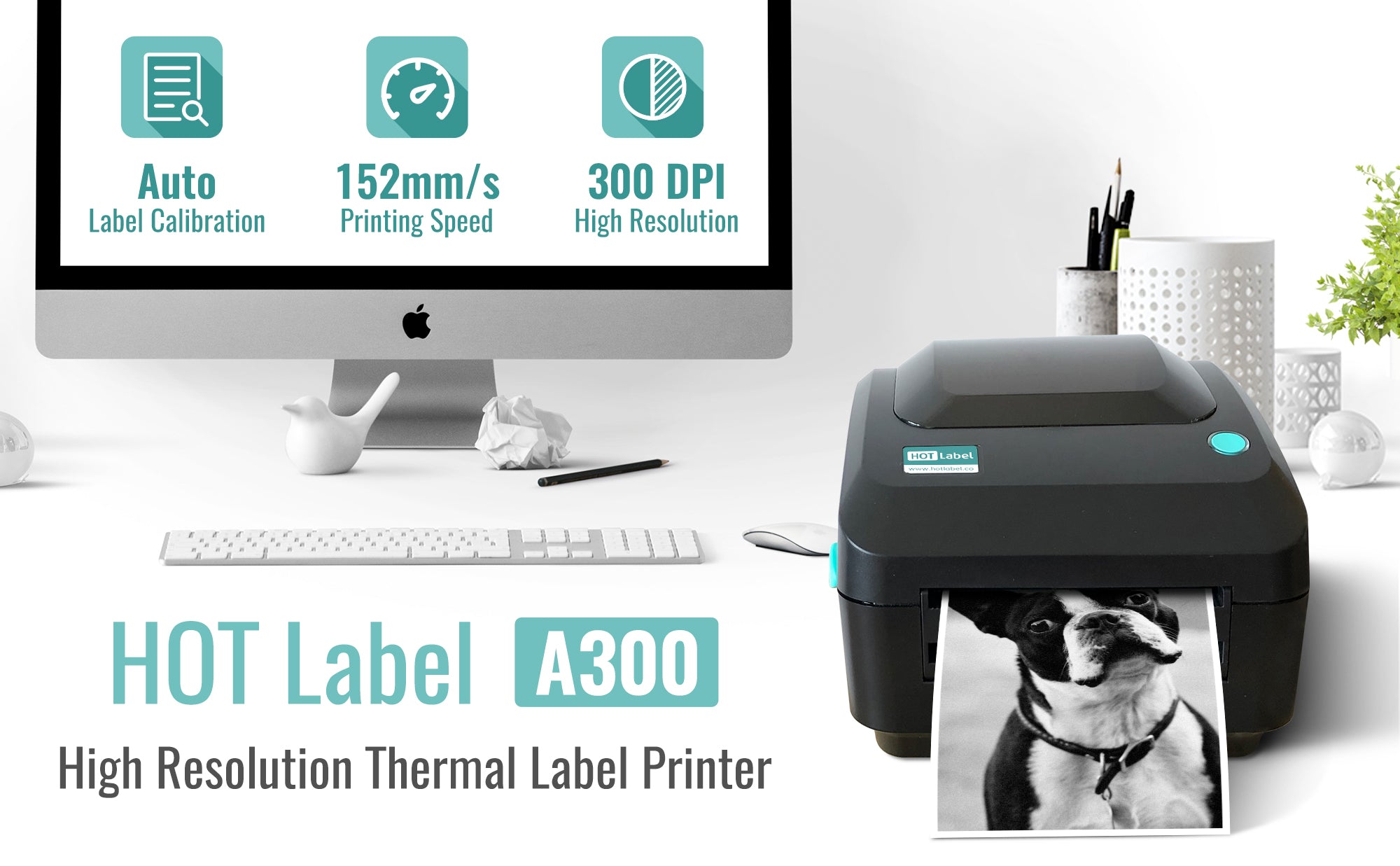 A300 Thermal Label Printer| Hotlable Australia| Direct Print – HotLabel